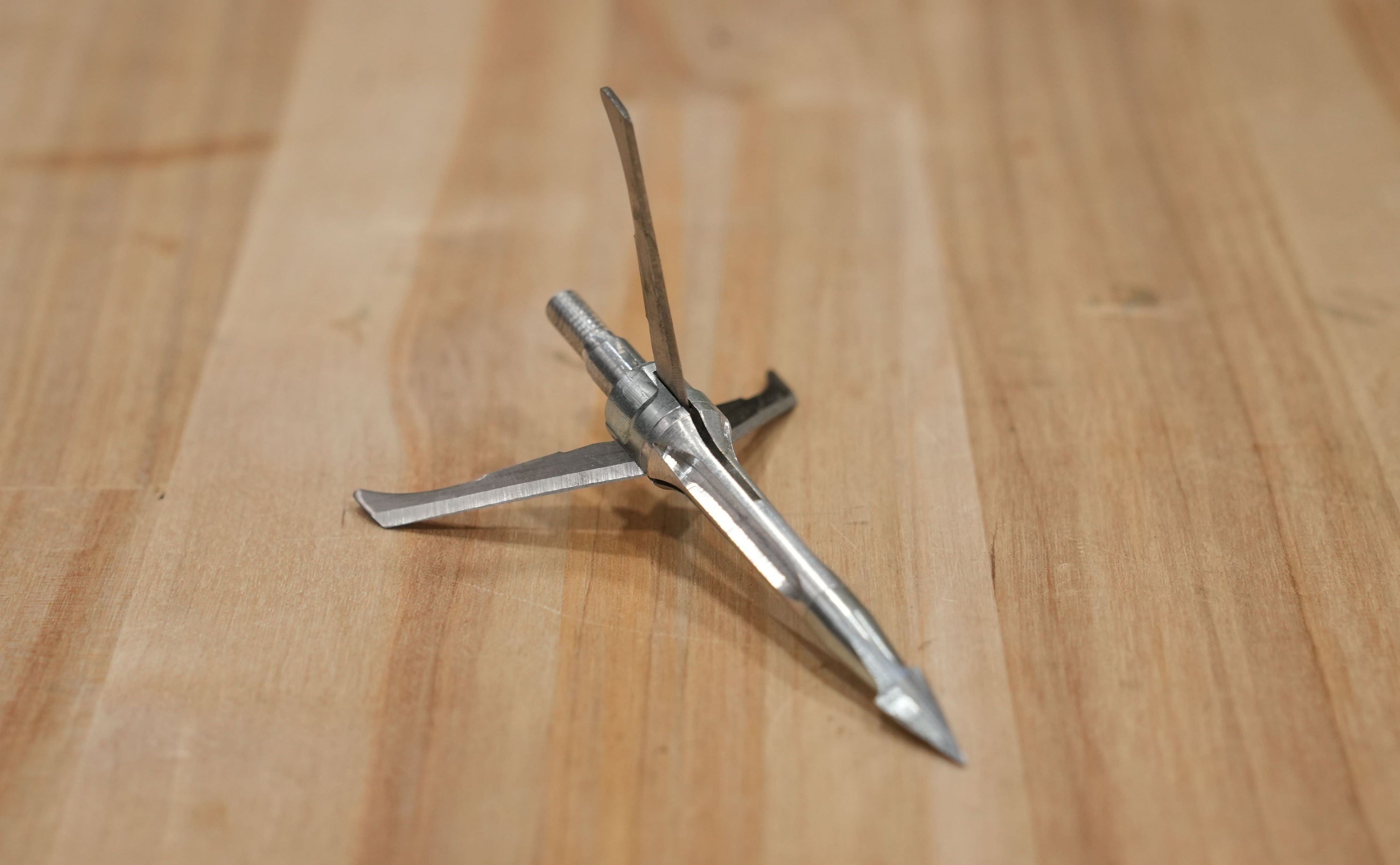 Fixed vs Mechanical Broadheads: Which is Best for Your Archery Setup ...