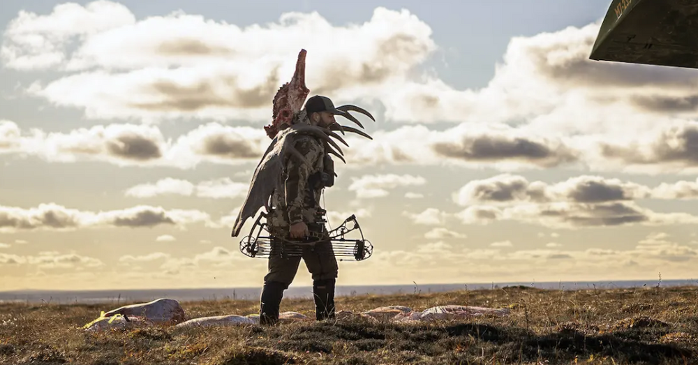 Blogs - Mountain Archery