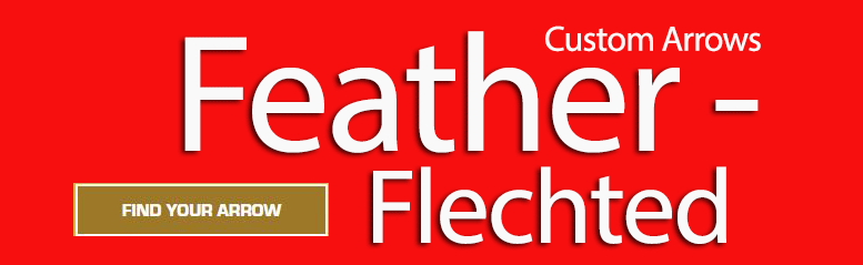 Gold Tip Feather Fletched Arrows
